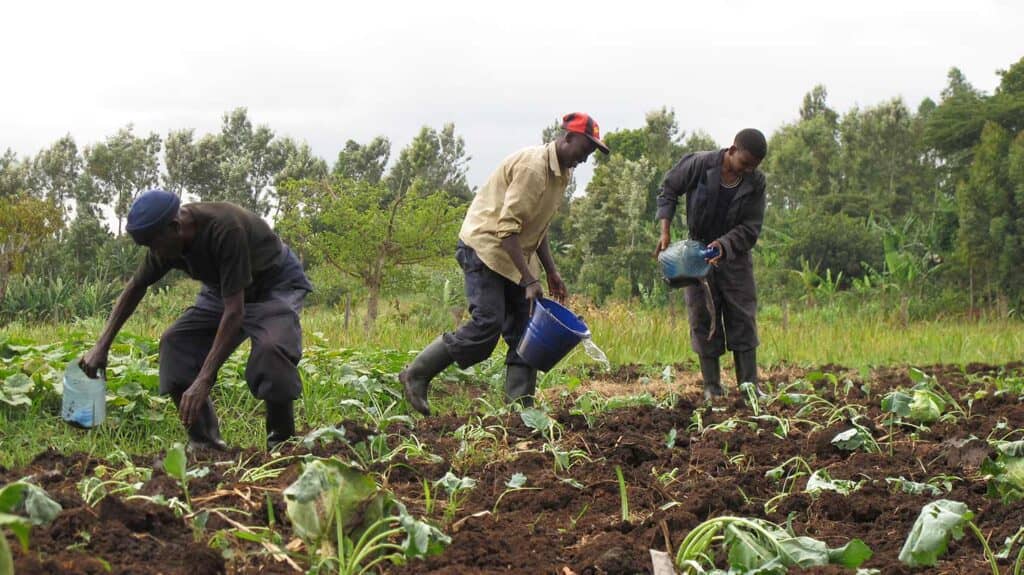 The village - AINA ETS